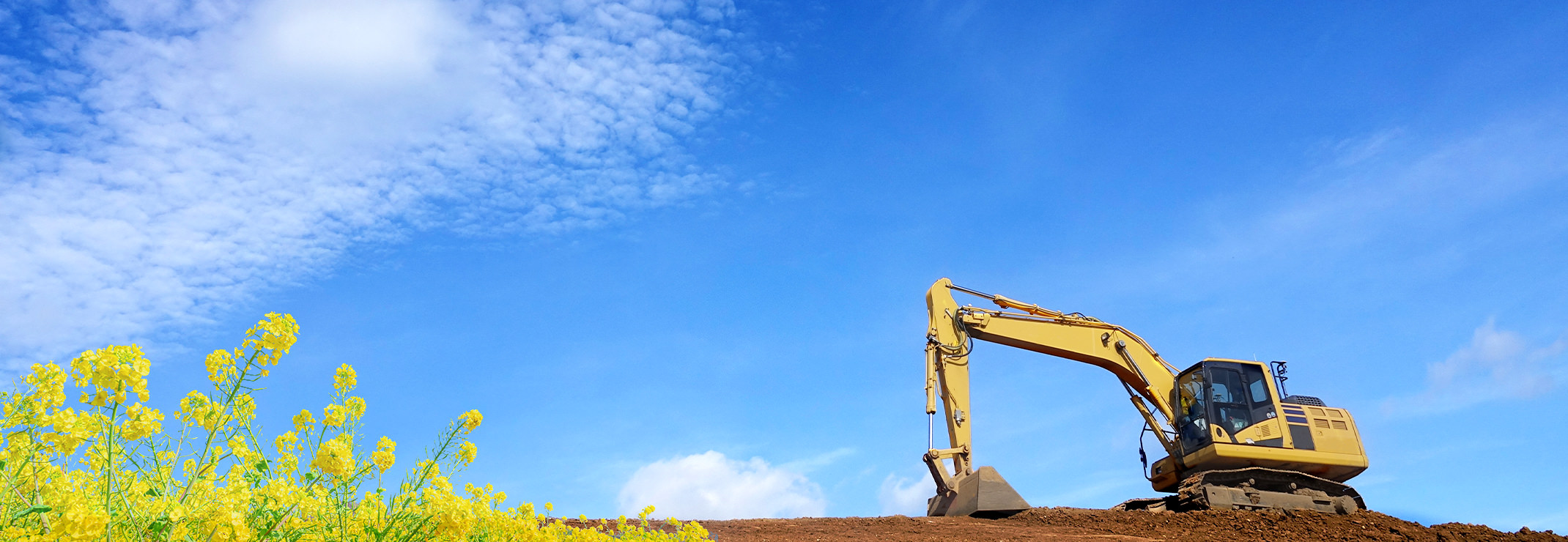 高純度バイオディーゼル燃料とは | 株式会社 未来樹